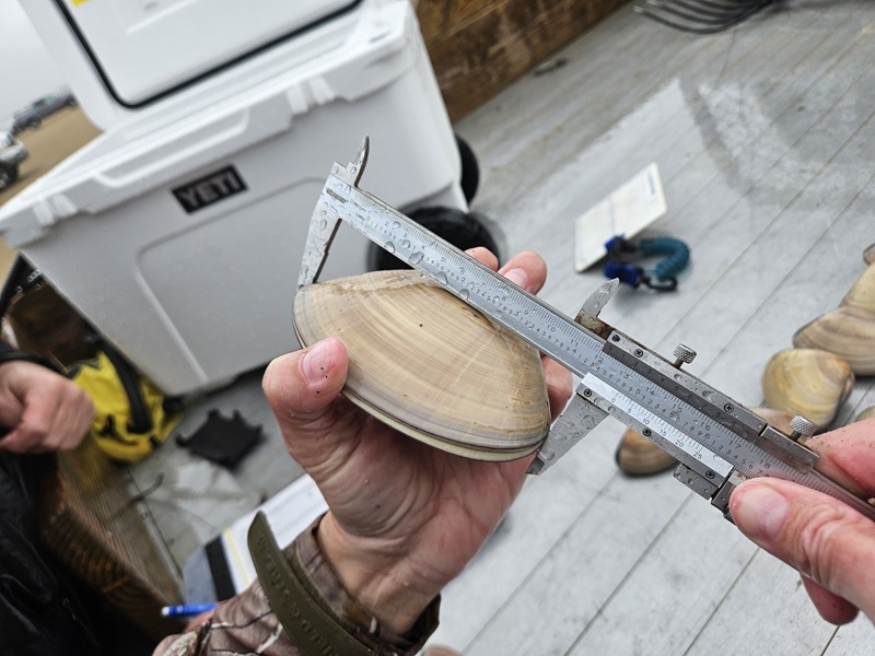 CDFW scientists are collecting, counting, and measuring Pismo clam ...