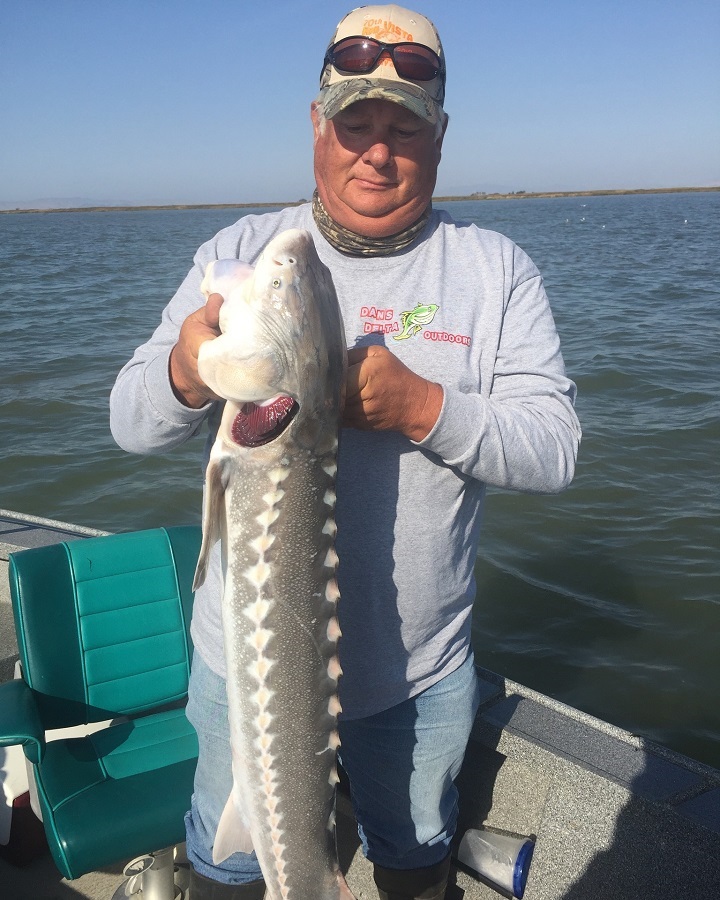 Comprehensive Delta Fishing Report | Fall Update November 18 ...