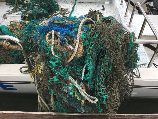 Impossible to Determine if 4,000 Pounds of Netting is from Off-Shore ...