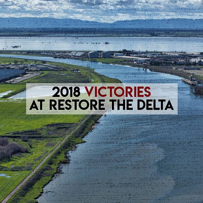 Support Restore the Delta in 2019 | Westernbass.com