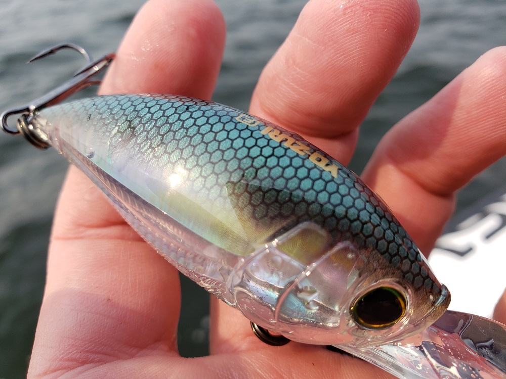 Fishing the Deep Crank | Deep Crank 70 F 3DR | Westernbass.com