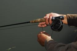 Arizona Spring Fish Stocking Report | Westernbass.com