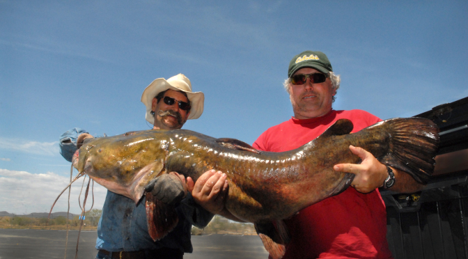 WHERE WILL THE NEXT AZ STATE RECORD COME FROM? | Westernbass.com