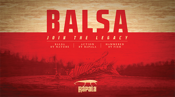 BALSA | Breathing Life Into It | Westernbass.com