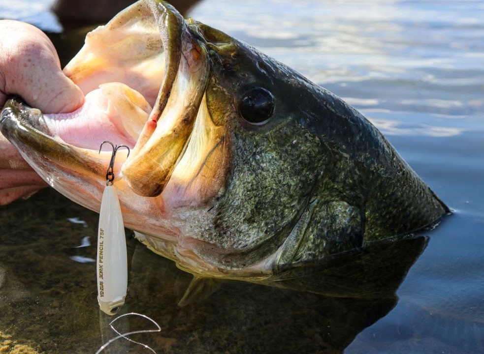 FLASHBACK: Bassin' Rules Debunked! | Westernbass.com