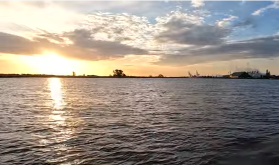 CA Delta Sturgeon (Plus Trammel Netting With The CDFW) | Westernbass.com