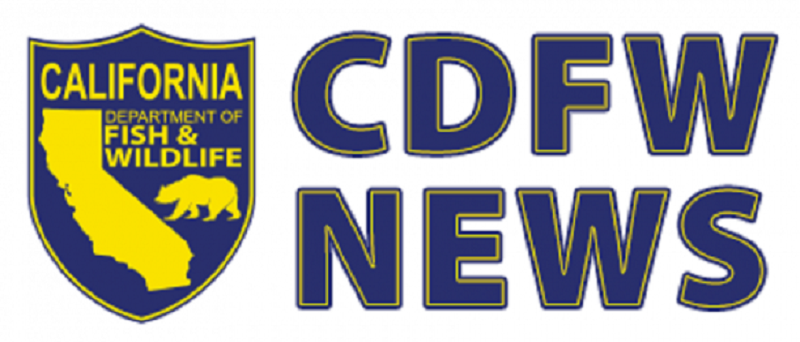 CDFW Releases Updated Strategic Plans for Trout, Hatchery Management ...