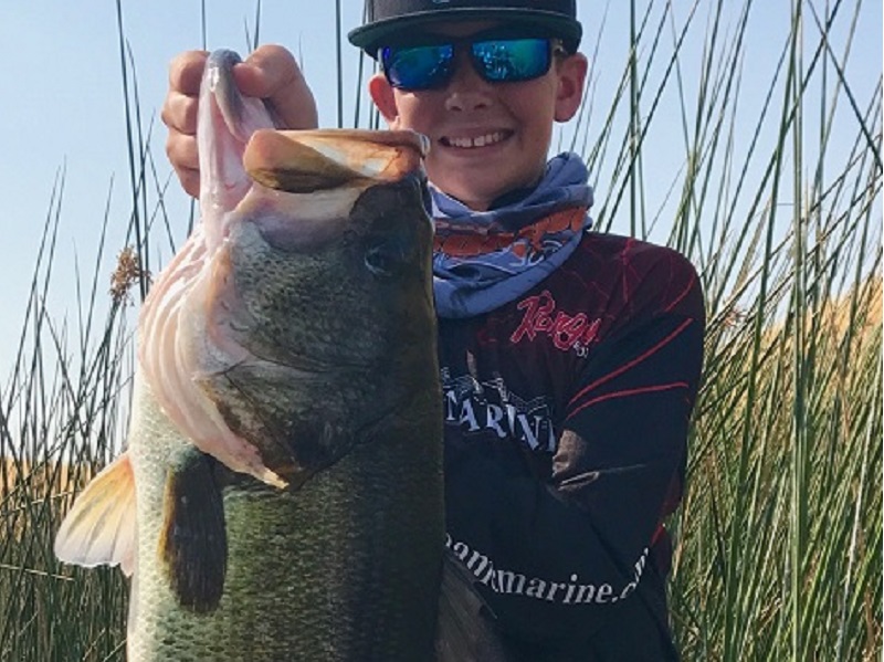 Comprehensive Delta Fishing Report | Summer Update Aug 25 | Westernbass.com