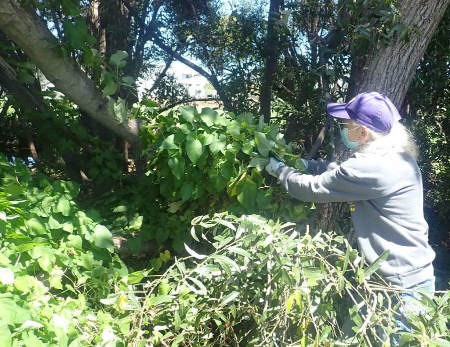 California Invasive Species Action Week | Westernbass.com