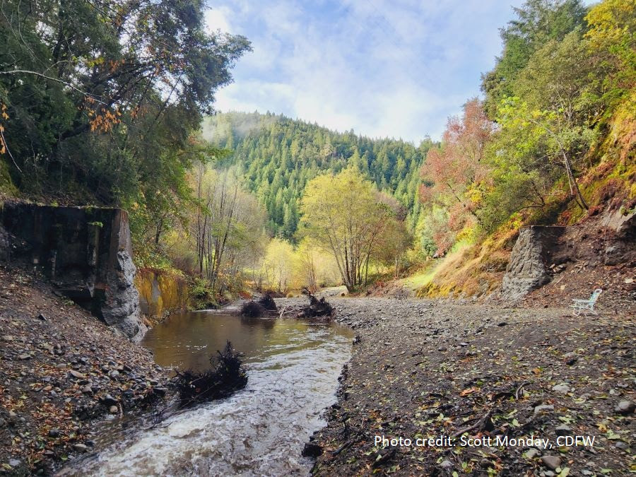 CDFW Announces $22.5 Million to Benefit Salmon and Support Critical ...