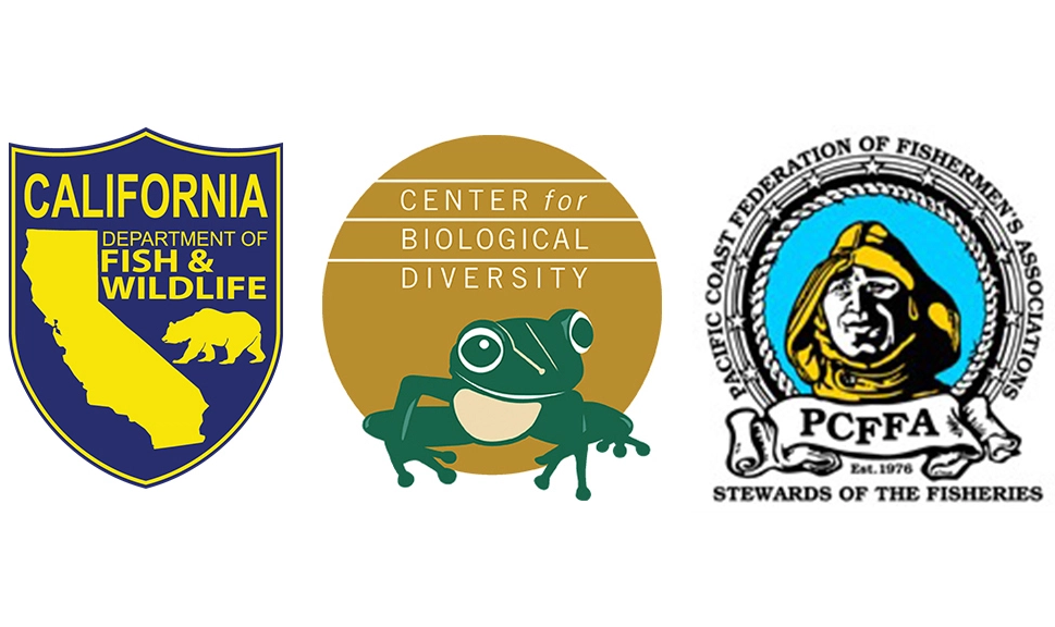 California's Entanglement Settlement Fish and Wildlife Protections ...