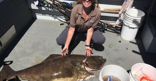 Input On 2022 Recreational Pacific Halibut Season Dates | Westernbass.com