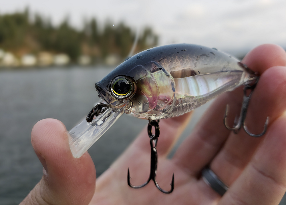 Fishing a Shallow Squarebill | 3DR Shallow Crank 70 | Westernbass.com