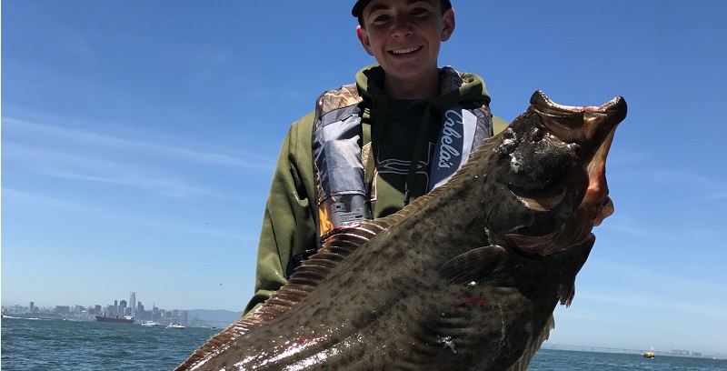 Comprehensive Delta Fishing Report | Update May 26 | Westernbass.com