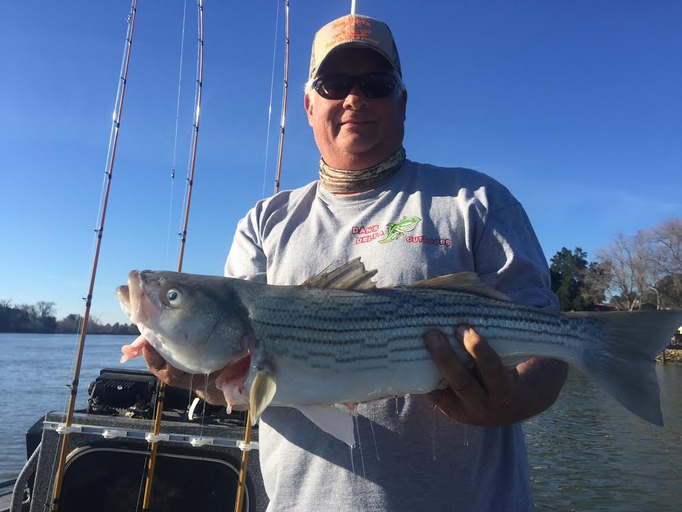 Comprehensive California Delta Fishing Report | Water Cooled Fast March ...