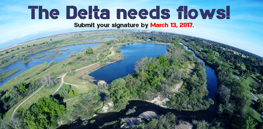 The Delta Needs Flows | Westernbass.com