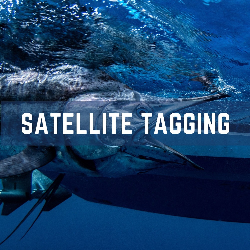 For ethical sport and productive science | Westernbass.com