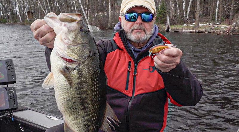 Hammer Bass Like Al Linder | Westernbass.com