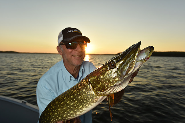 High Definition Aqua-Vu® underwater camera documents wild pike run ...