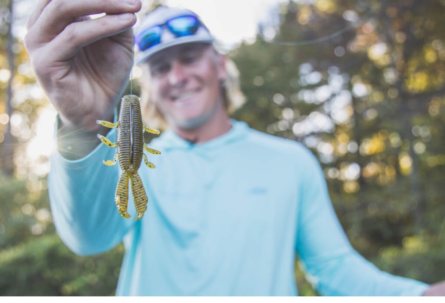 Introducing the All-New Nuki Bug | Westernbass.com