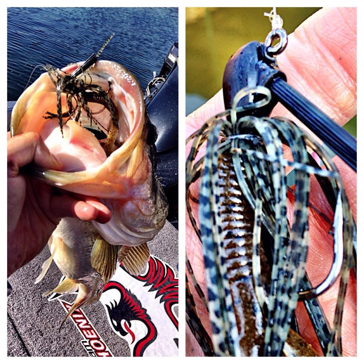 Justin Lucas on Selecting Jig Trailers | Westernbass.com