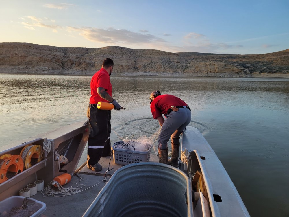 FISHERY AT FLAMING GORGE RESERVOIR | Westernbass.com