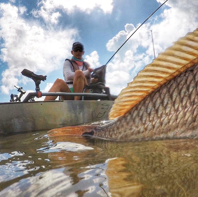 Perfect Paddletails | Westernbass.com
