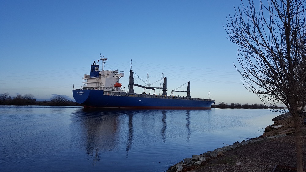 Comprehensive Delta Fishing Report | Cold but Water's Warming January ...