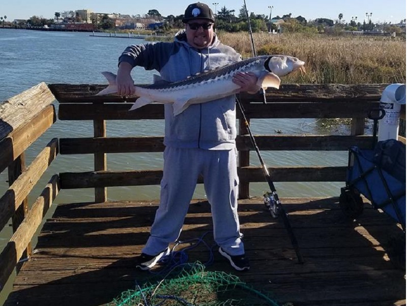 Comprehensive Delta Fishing Report | Wintery and Windy Dec 23 ...