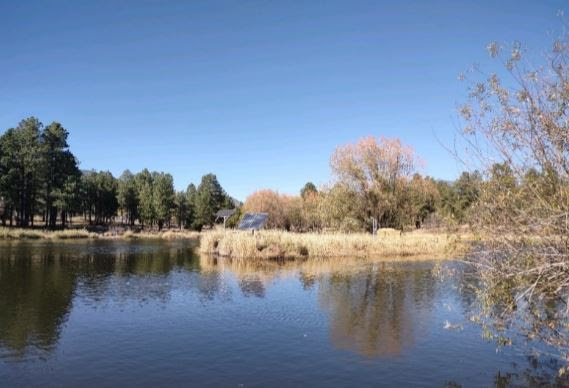 Pond refilled and stocked for first time since 2022 Pipeline Fire ...