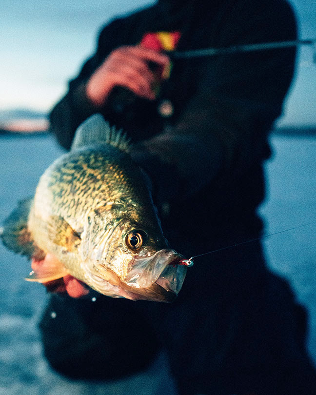 Premium quality and technology come together in new Kage Ice Rod Series ...