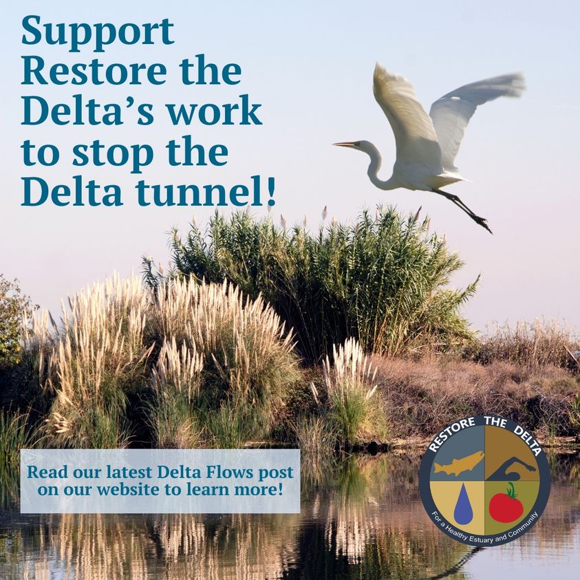 Restore the Delta is a rare combination of good outreach and solid ...