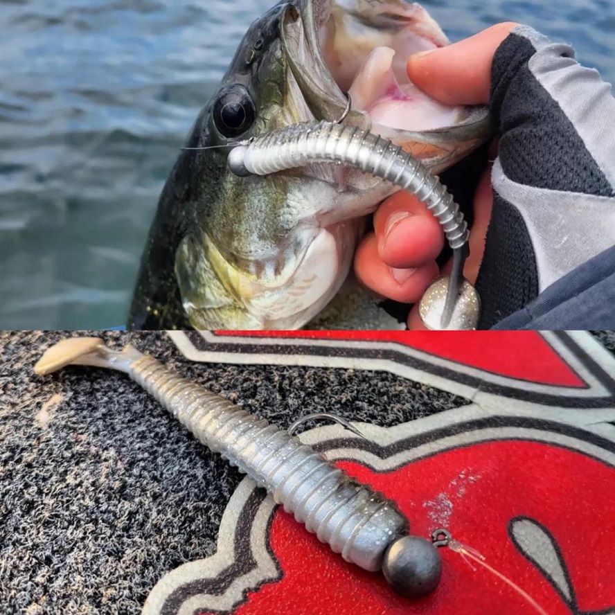 Round Out Your Jig Head Game | Westernbass.com