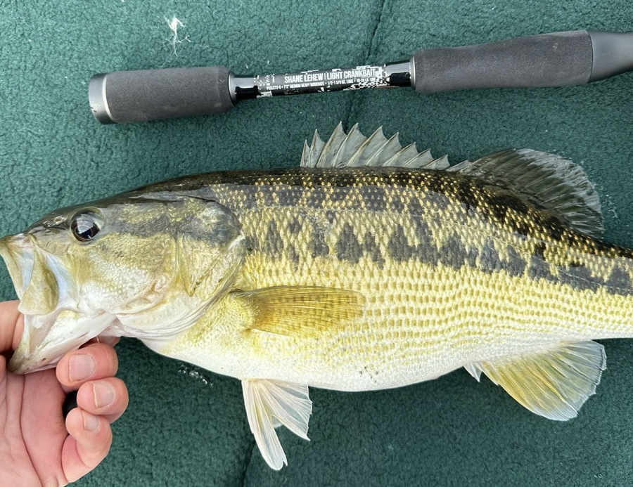 Shane LeHew Ready for Tennessee Classic | Westernbass.com