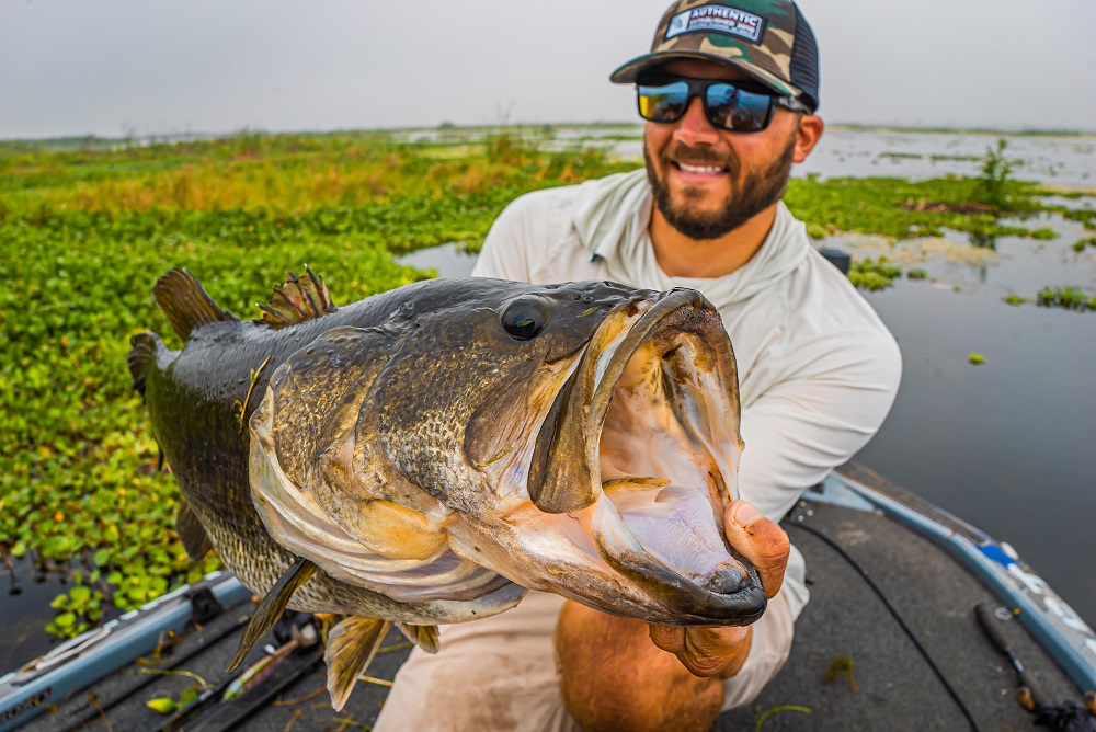 Three Ways to Target Bass in the Grass | Westernbass.com