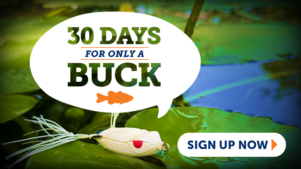 Top 3 Big Bass Fishing Techniques! | Westernbass.com