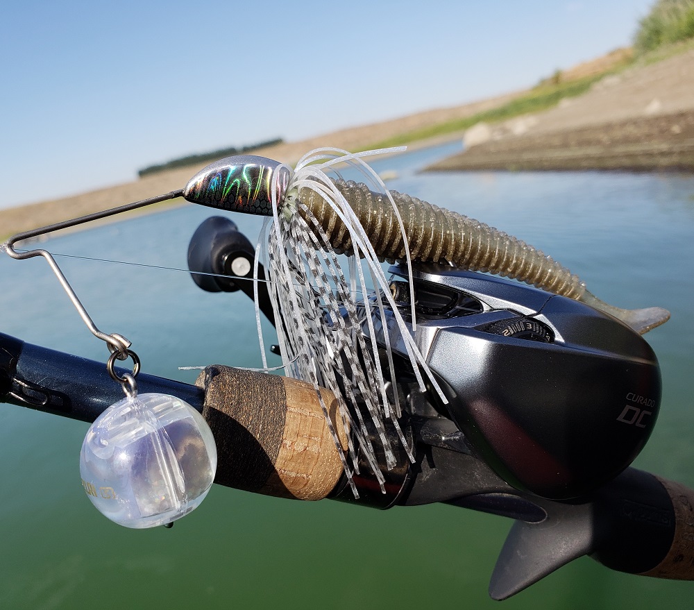 Knuckle Bait | A Closer Look | Westernbass.com