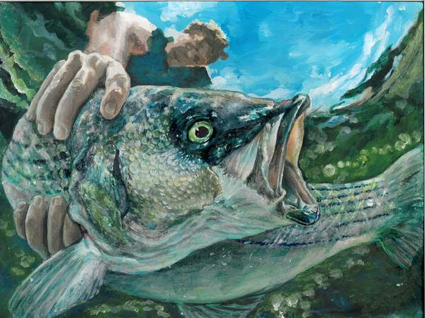 Wildlife Forever’s 2020 State-Fish Art Contest | Westernbass.com