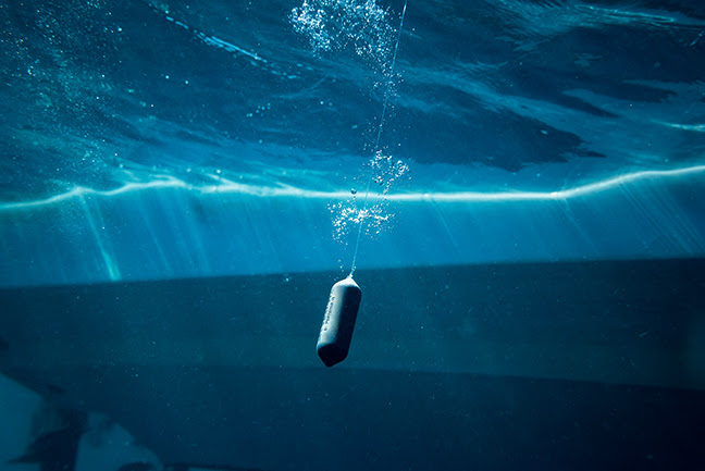 World’s first and only shark deterrent device | Westernbass.com