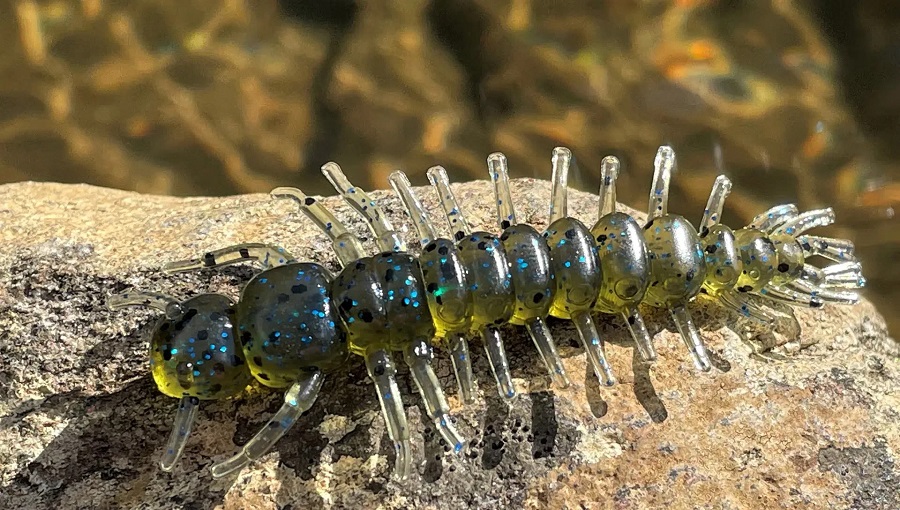 YUM Hellgrammite | Westernbass.com