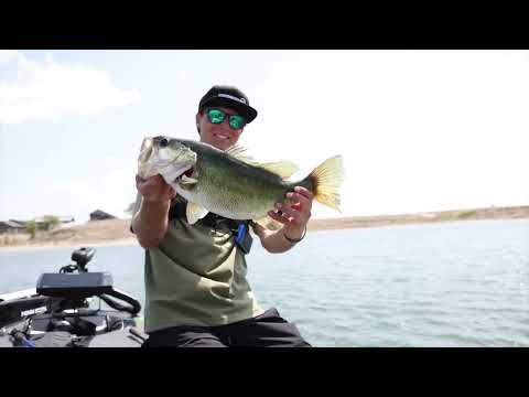 2023 New Senko Colors | Westernbass.com