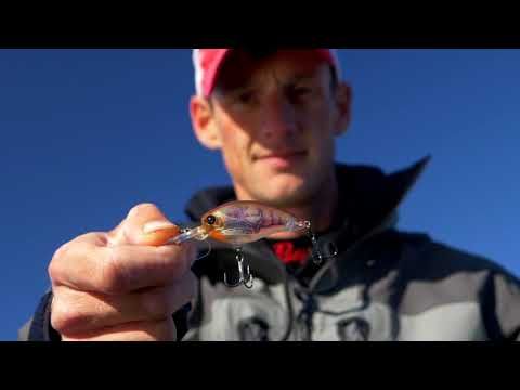 3DR Series with Brandon Cobb and Braxton Setzer | Westernbass.com