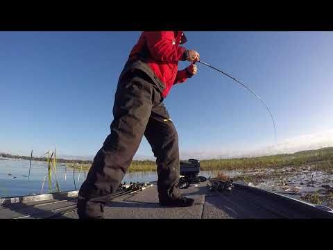 Boat Flippin' in Florida | Less Than a Minute Fishin' Vid | Westernbass.com