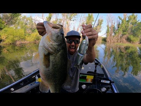 Clear Lake: Will A Spanish Designed Swimbait Translate Into Big Bass ...