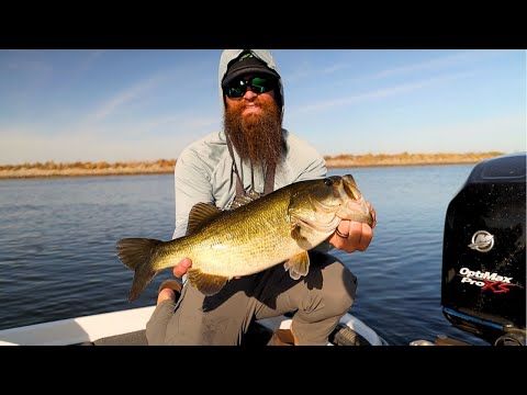 Fall Transition Fishing on the California Delta | Westernbass.com
