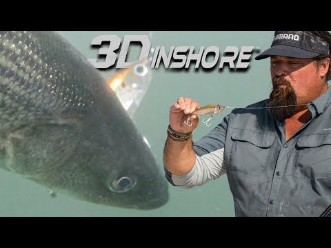 How To Fish a Twitch Bait | Westernbass.com