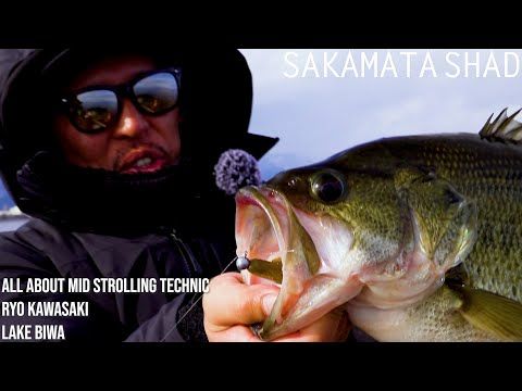 Mastering The Mid Strolling Technique | Westernbass.com