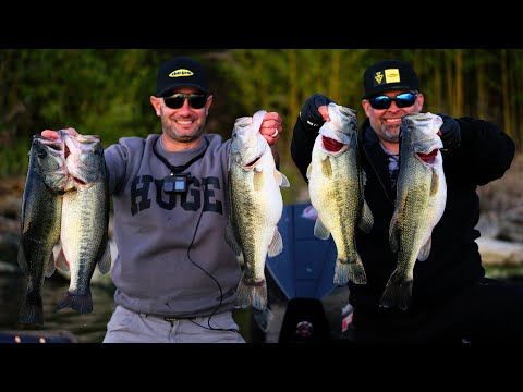 Mid Strolling the Sakamata Shad flat out smashes fish! | Westernbass.com