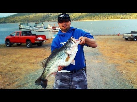 Personal Best Largemouth: 15 lber! | Westernbass.com