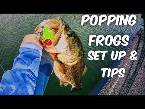 POPPING FROGS SET UP & TIPS | Westernbass.com